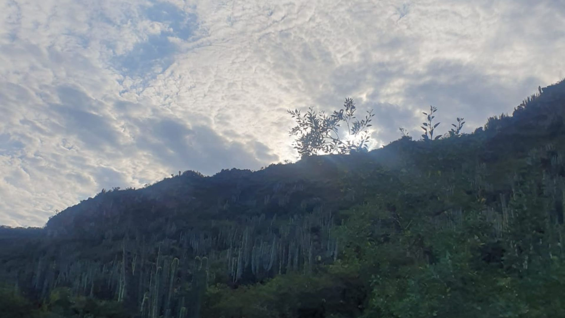 Pronóstico del clima en Querétaro para HOY 2 de diciembre de 2025