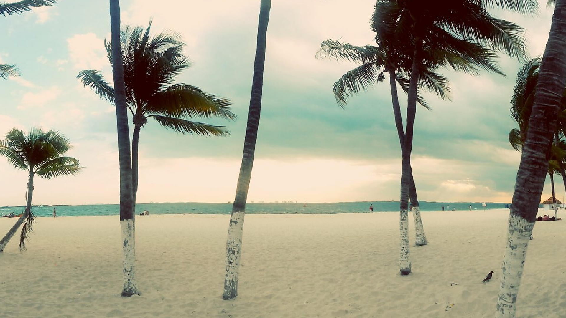 Quintana Roo: Estos son los puertos cerrados a la navegación por evento ...
