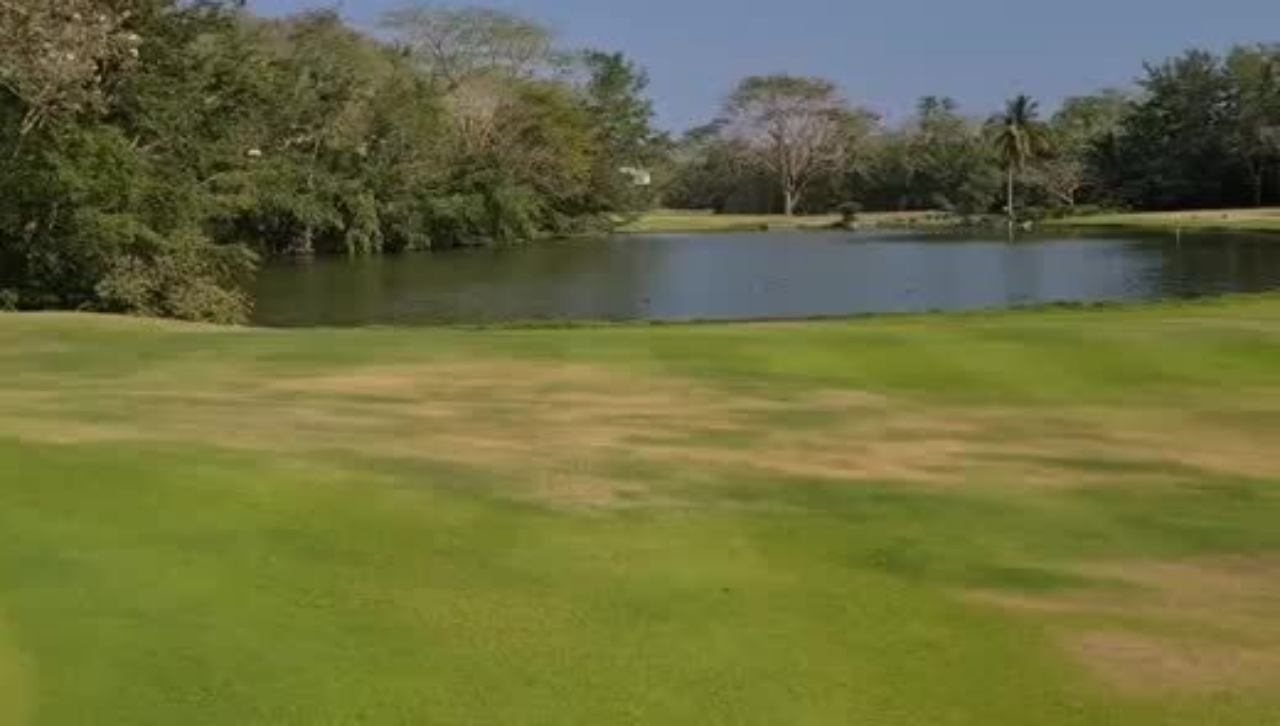 Economía y especies en grave peligro por cierre del Campo de Golf de ...