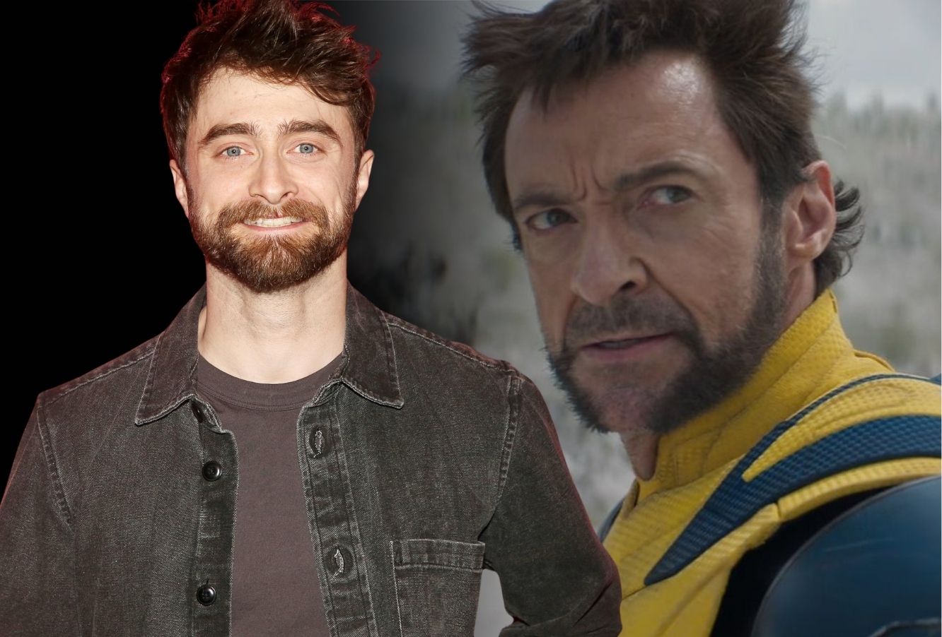 Daniel Radcliffe responde si será Wolverine en el MCU: esto dijo el ...