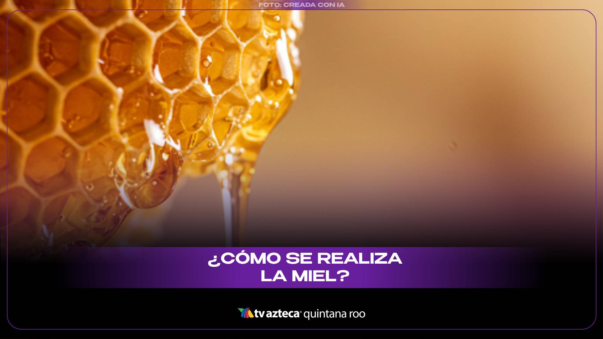 Cómo se hace la miel: ¿Cuál es el proceso del trabajo de las abejas?