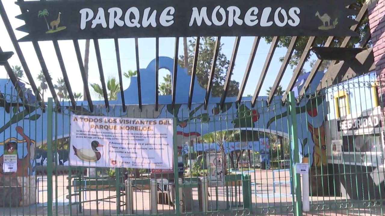 Baja California: Cierran Parque Morelos en Tijuana por caso de gripe aviar