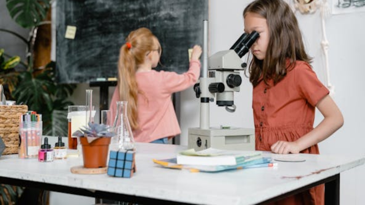 Día Internacional de la Mujer y la Niña en la Ciencia: Inventos de ...