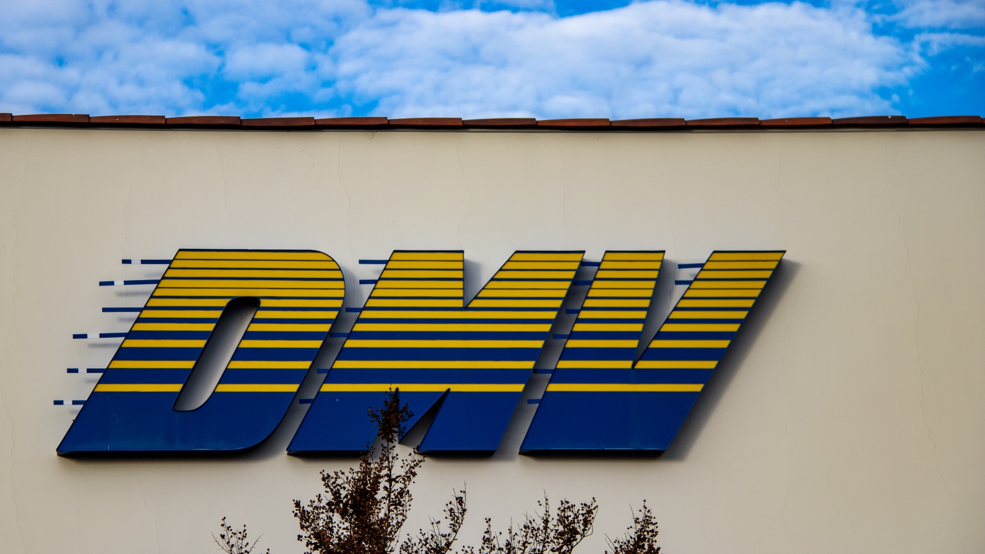 El DMV en California habilita un examen clave para la licencia de ...