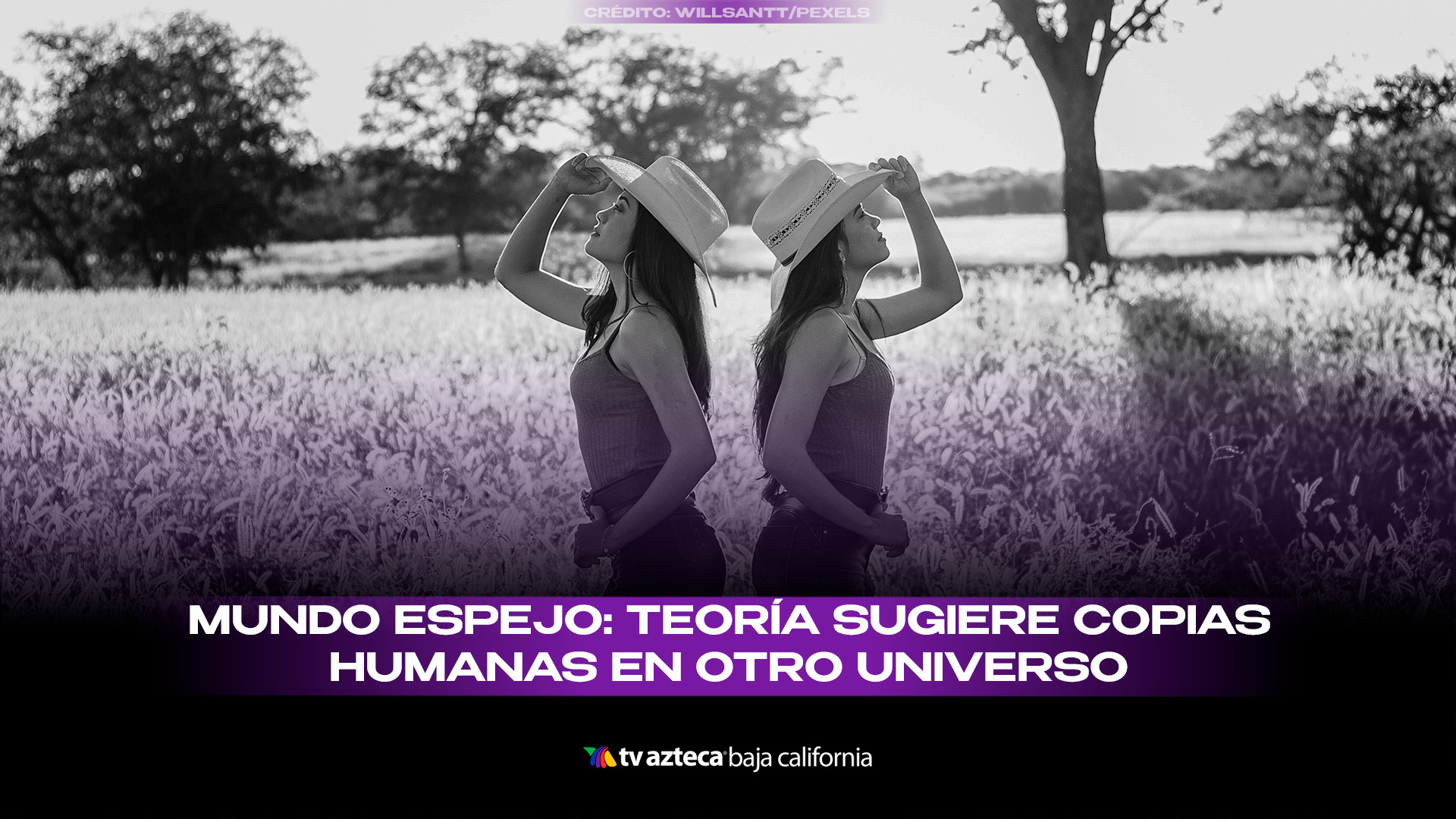 En qué consiste la teoría del mundo espejo: Esto sabemos