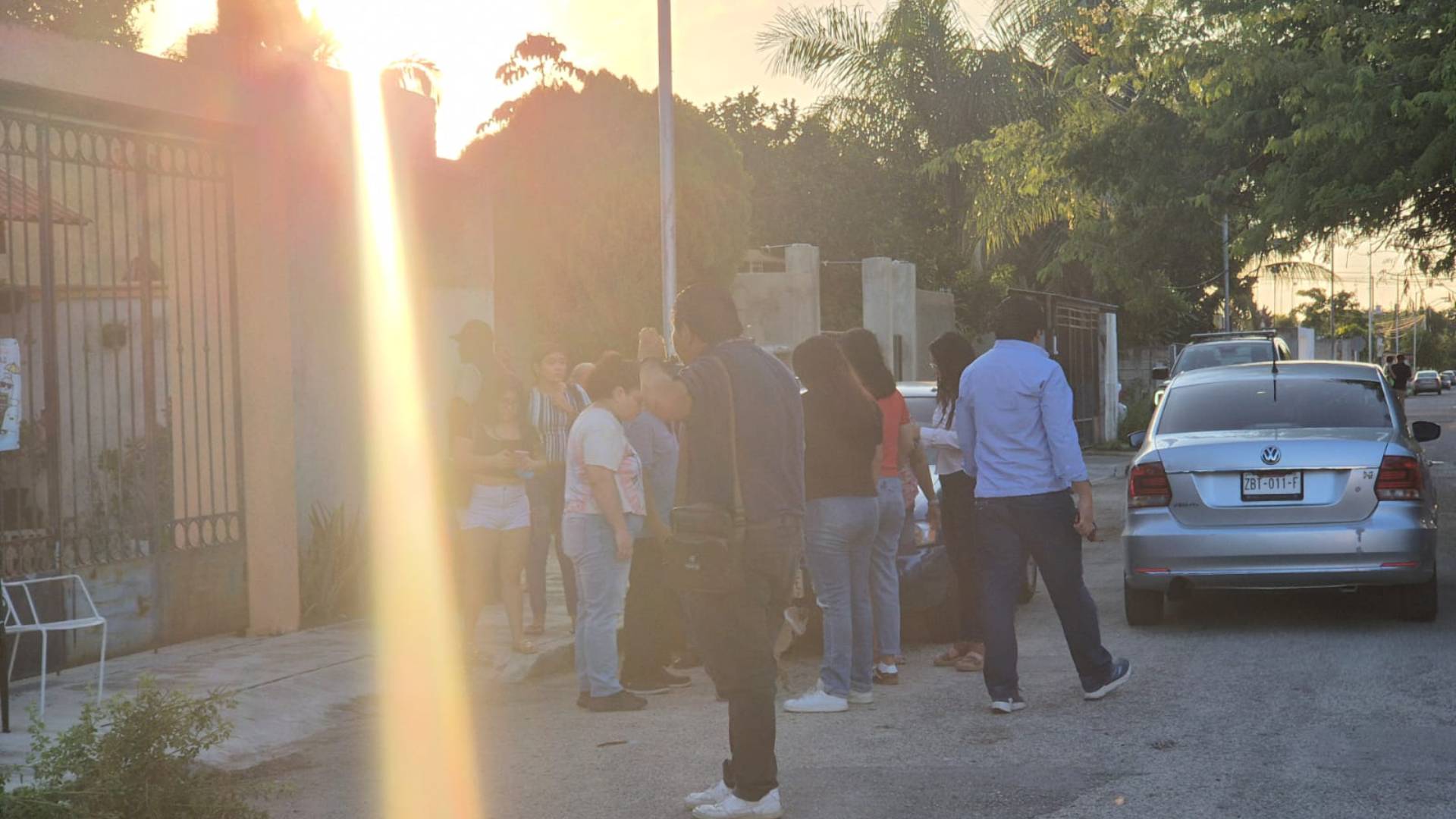 Rescate de 8 perros en Mérida por maltrato animal