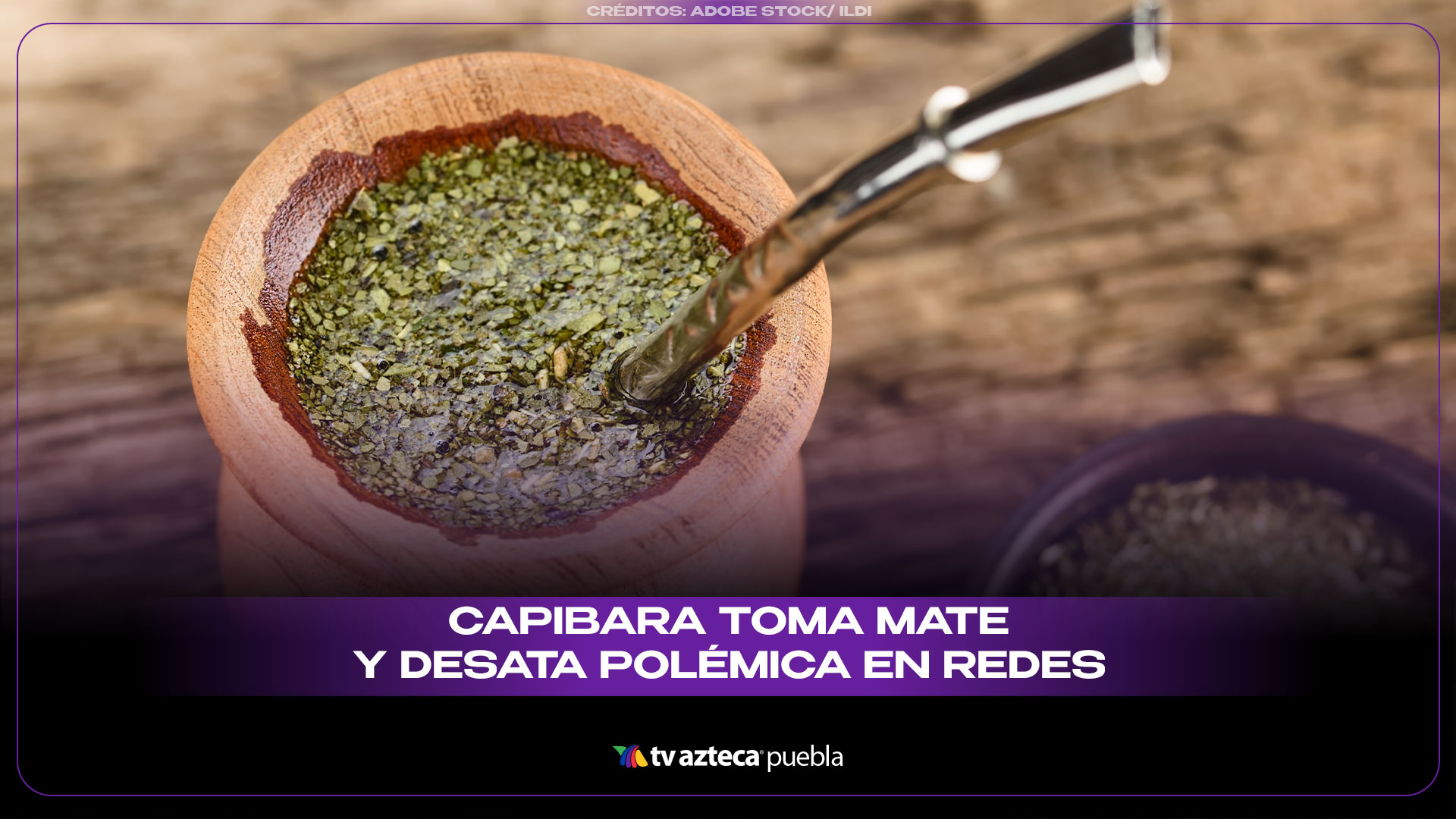 Video de capibara tomando mate genera críticas y ternura