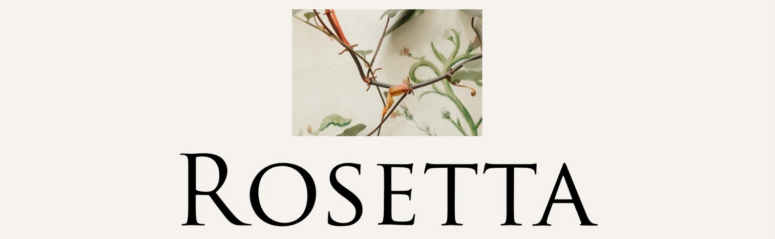 Restaurante "Rosetta" de la chef Elena Reygadas: en dónde está y qué platillos en él sitio de la ...