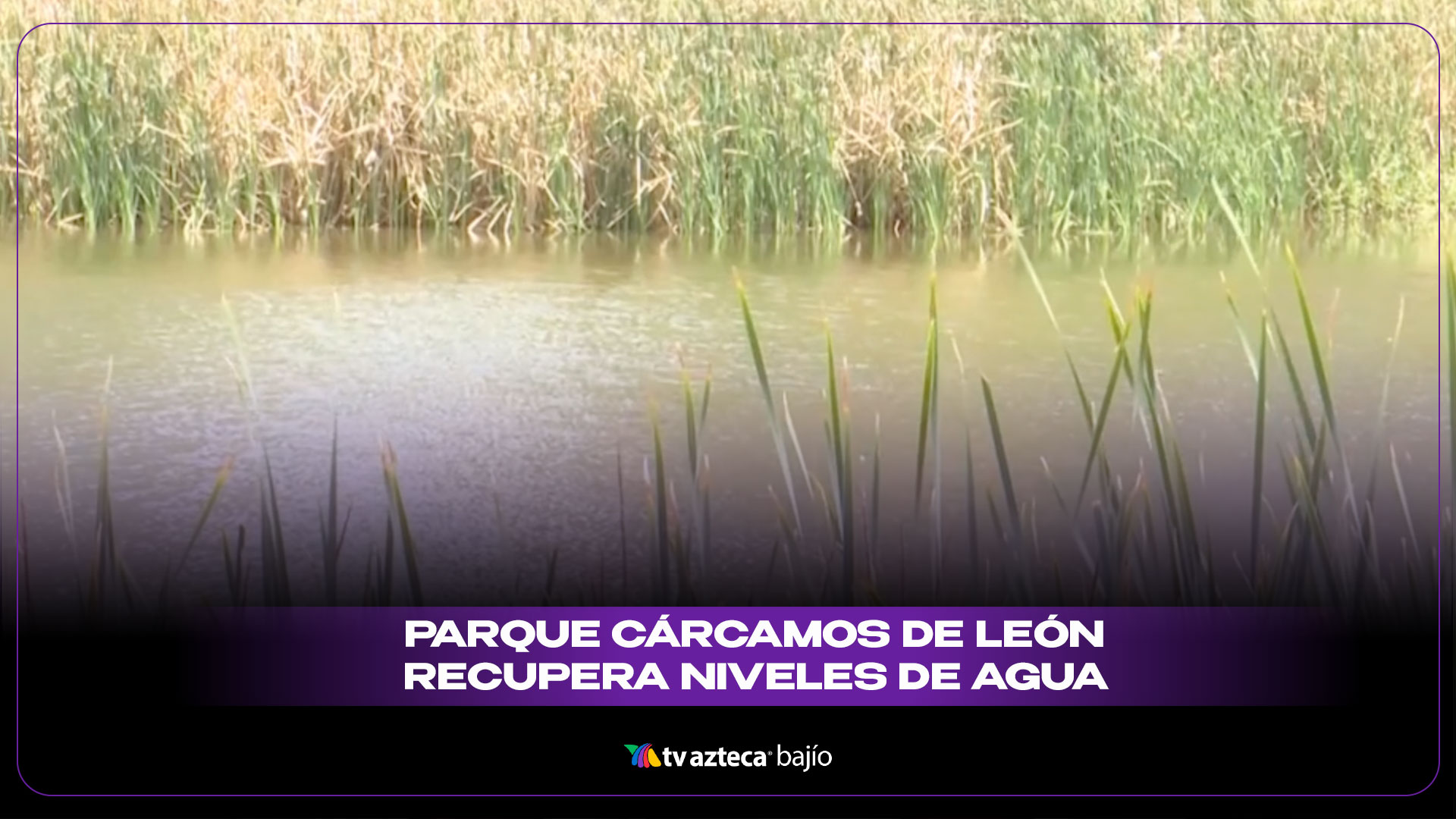 Humedal De Los Cárcamos En León Guanajuato Cómo Luce Tras Las