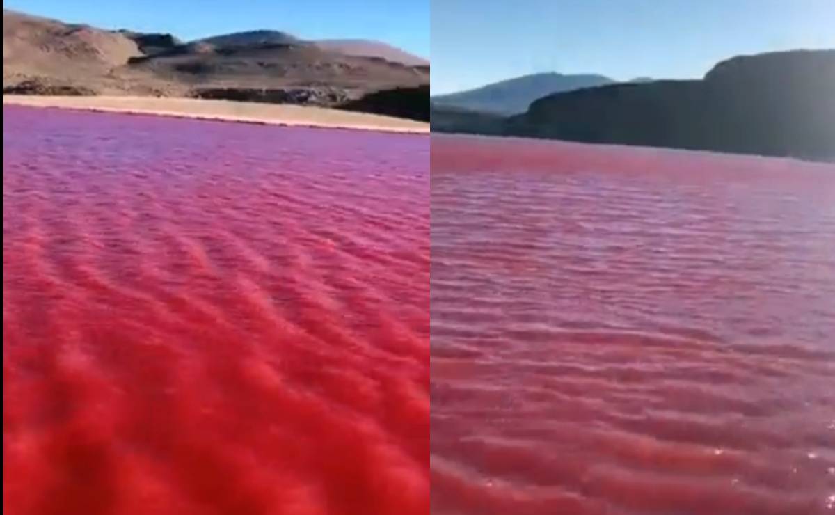 VIDEO: Río Nilo se tiñe de rojo; esta es la explicación