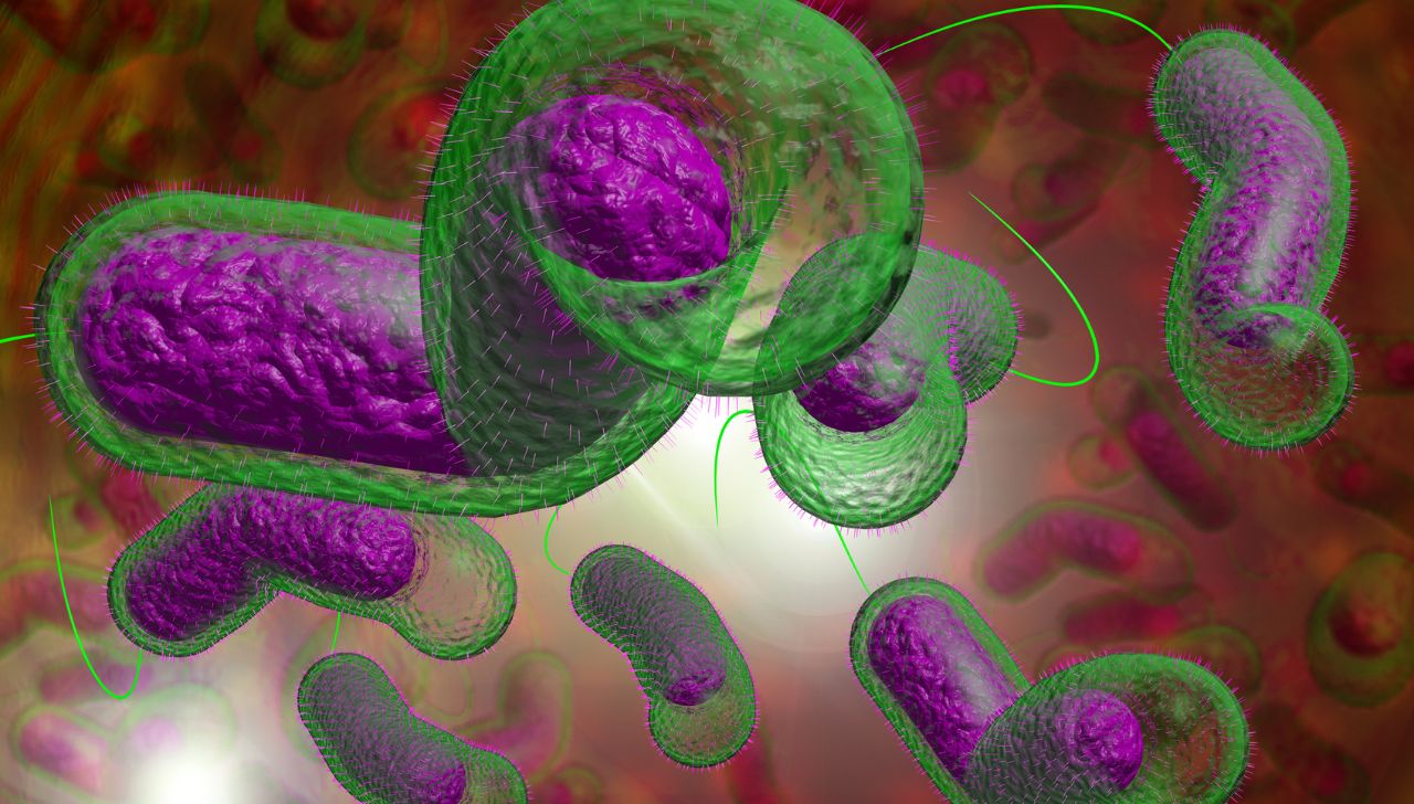 UNAM explica el porqué la bacteria Klebsiella oxytoca provocará más ...