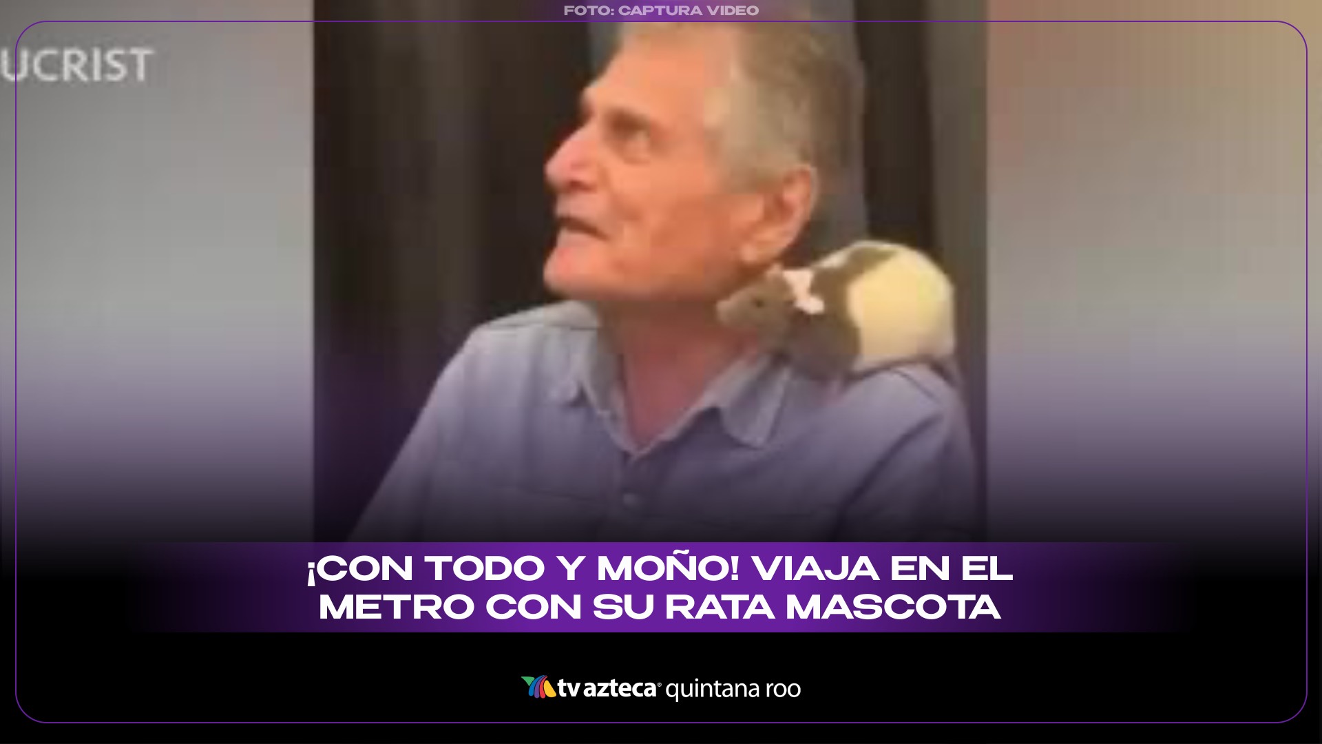 ¡Con todo y moño! Hombre viaja en el metro con su rata mascota y se ...
