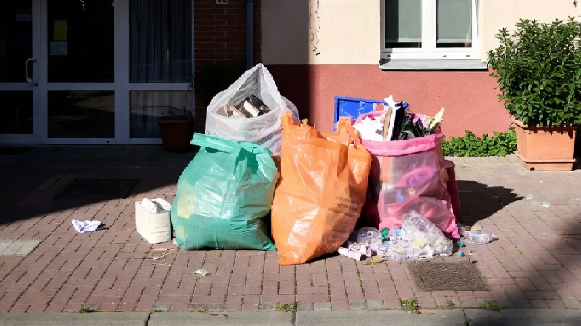 Recolección de basura en Guanajuato 1 de enero 2026: Municipios que ...