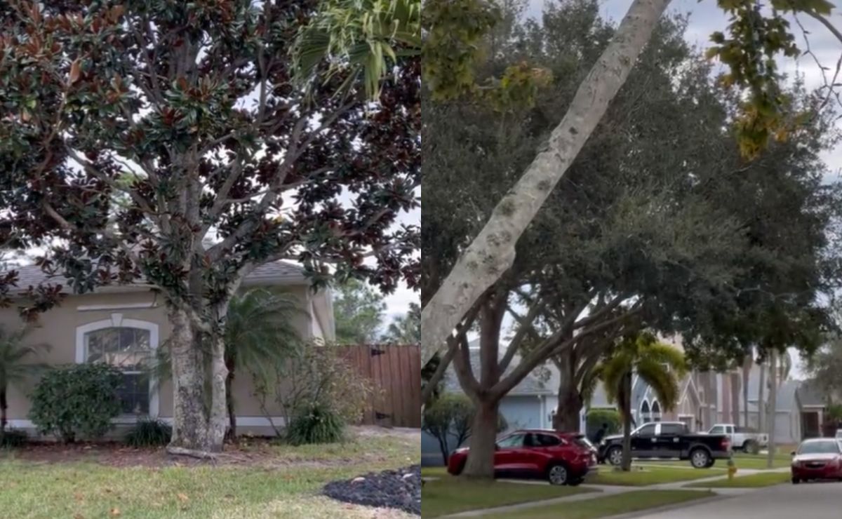 Bajas temperaturas y caída de aguanieve en Florida
