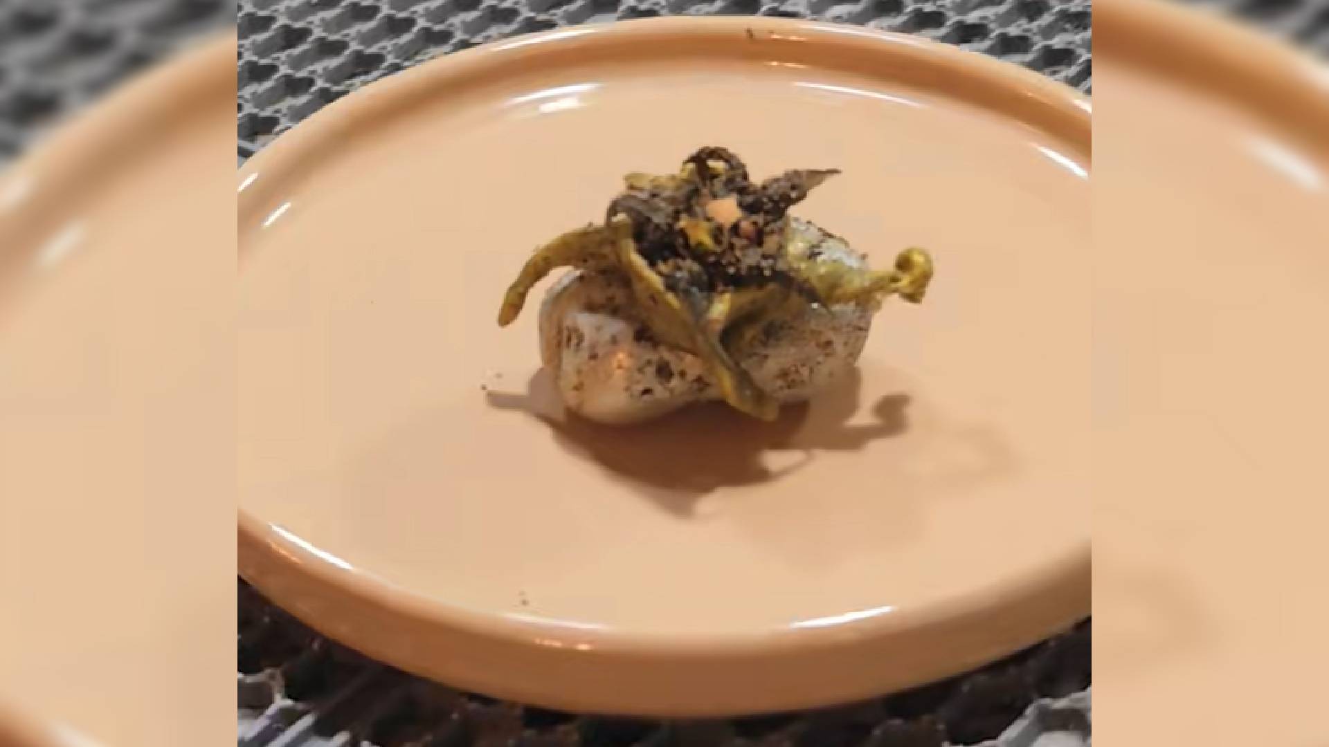 Exponen supuesto meteorito con crecimiento de vida en Panamá