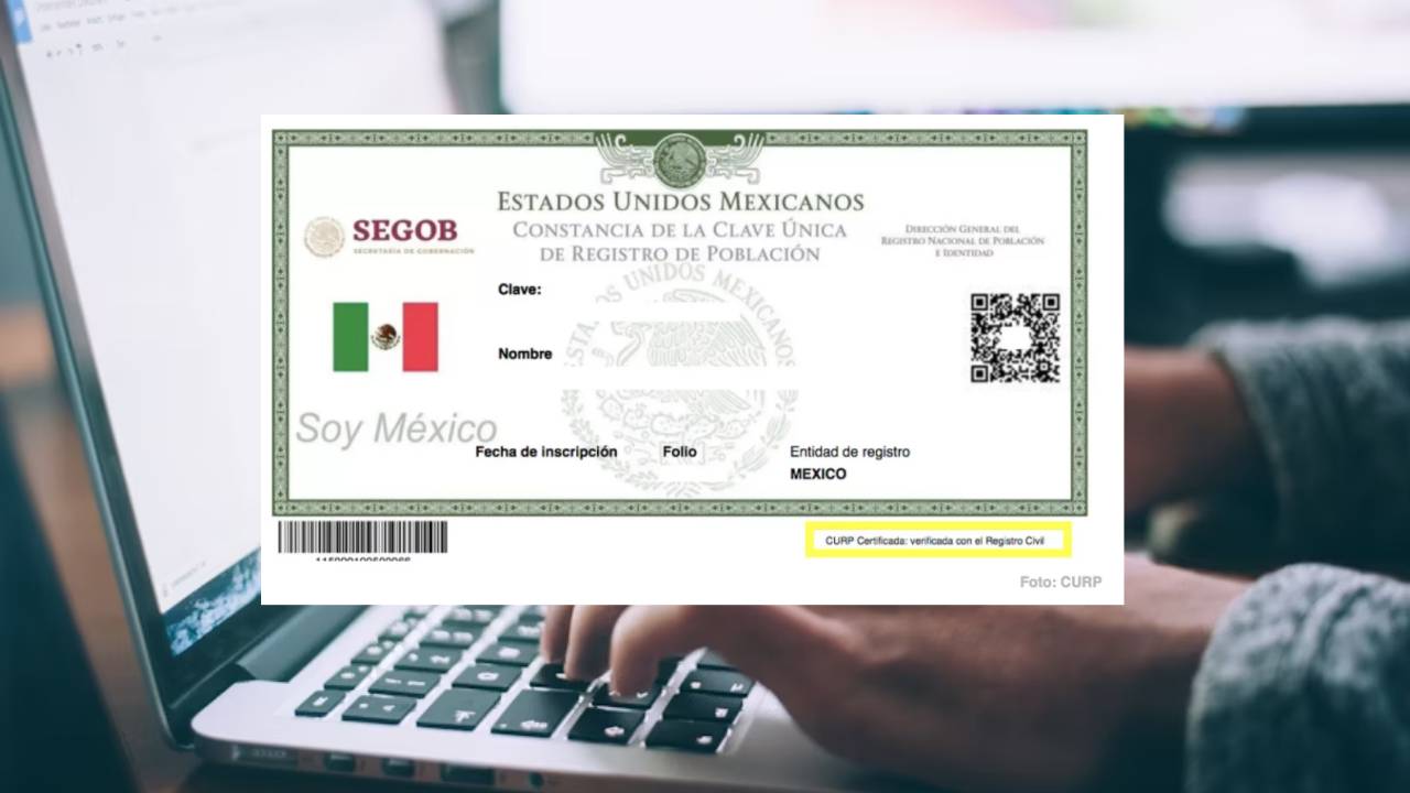 Pasos Cómo Descargar Tu Curp Gratis Por Internet