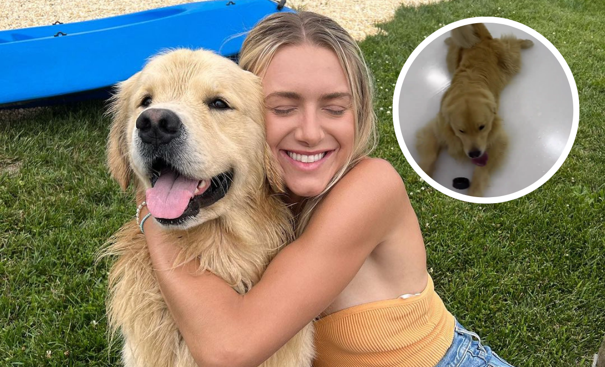 Viral: El divertido video de un perro jugando hockey sobre hielo