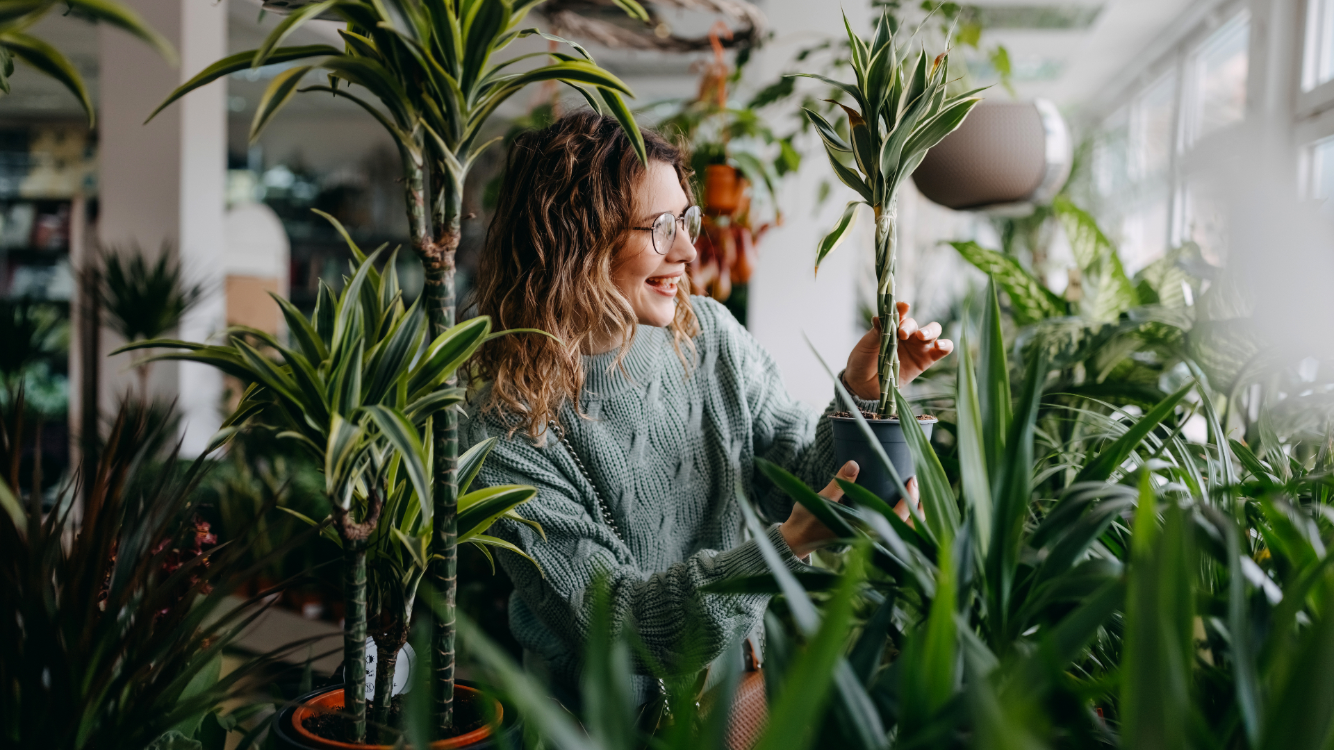 ¿Qué significa que alguien tenga muchas plantas en casa, según la ...