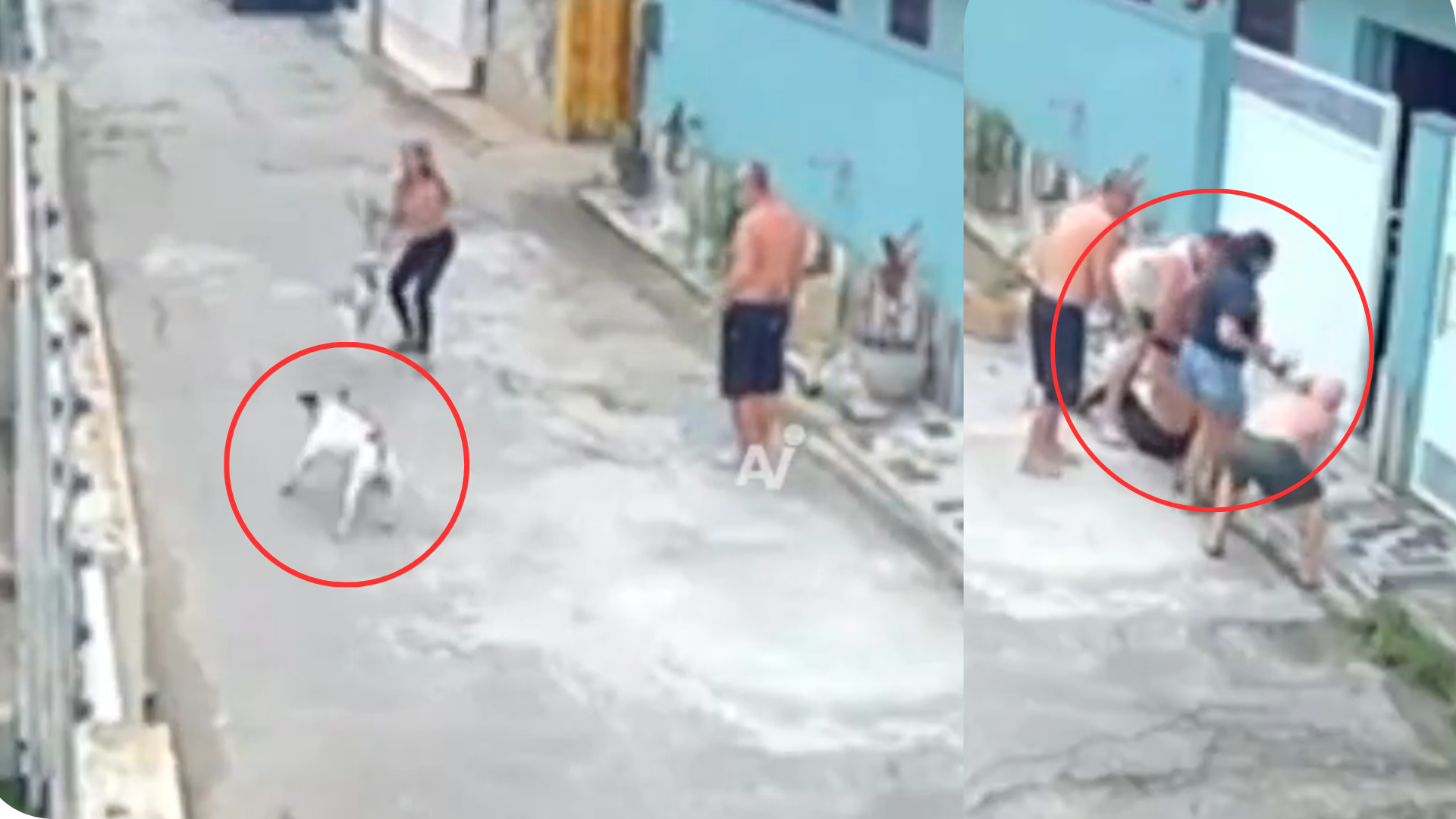 VIDEO VIRAL: Mujer sufre ataque de perro suelto en Río de Janeiro ...