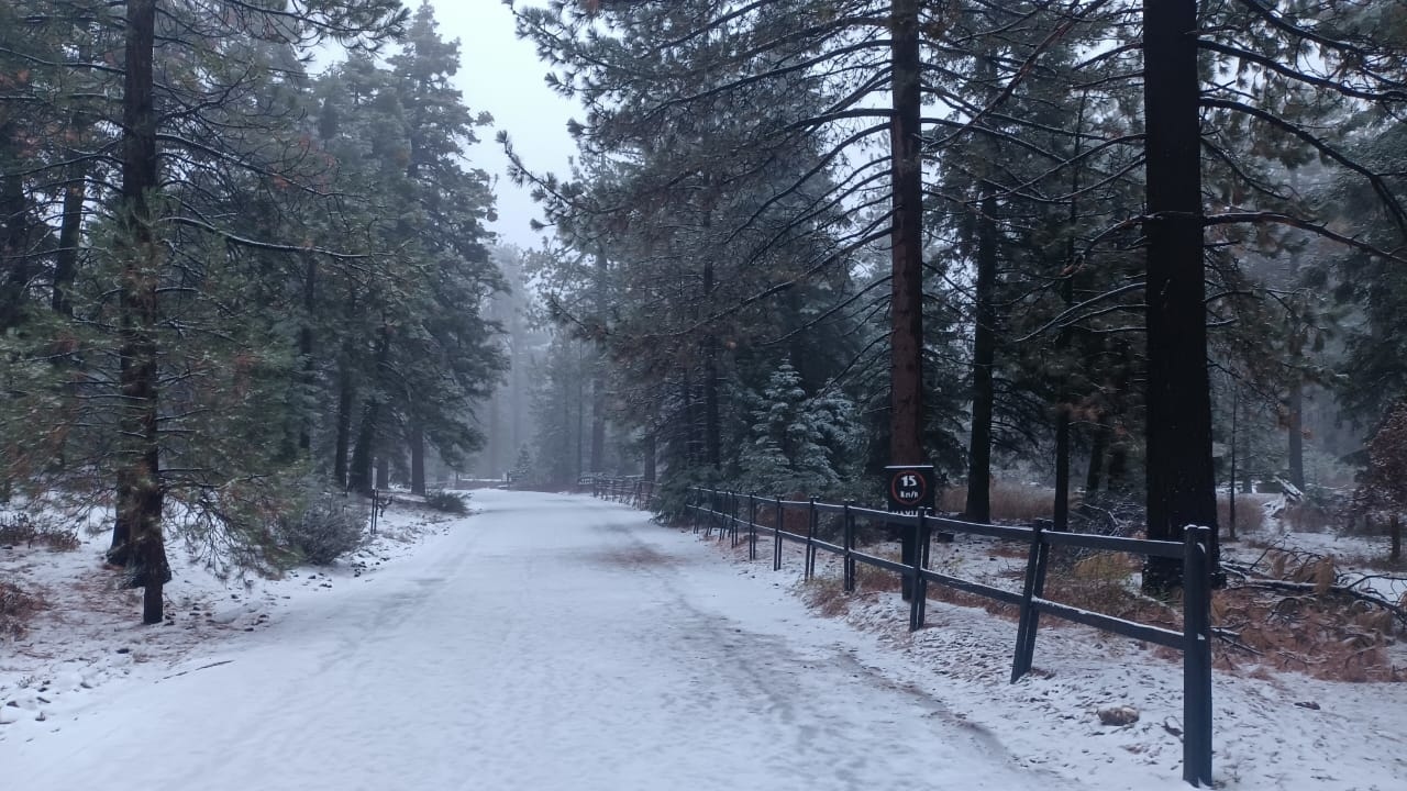 FOTOS: Así se ve la primera nevada en México de la temporada 2025-2026