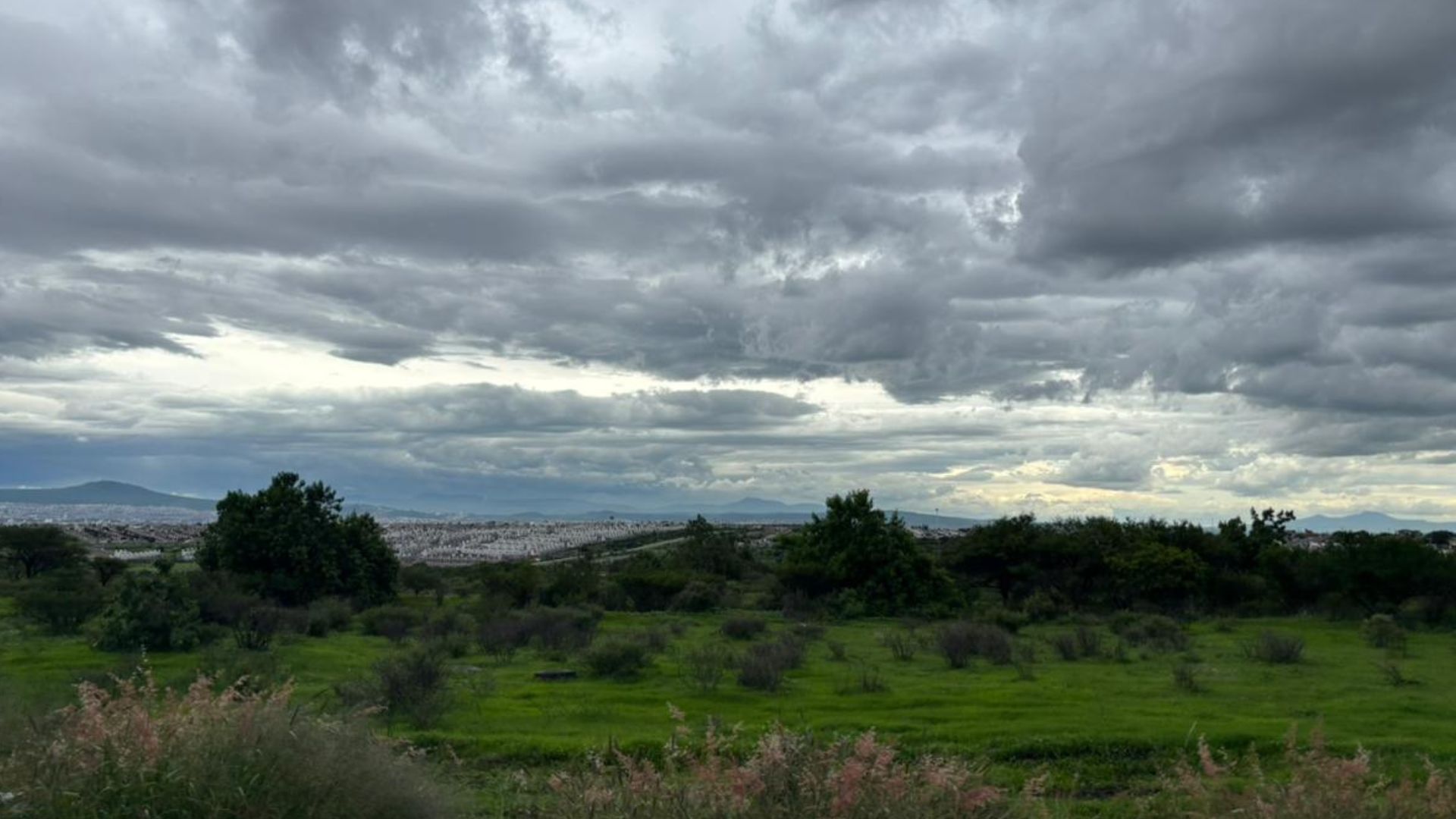 Estado el tiempo en Querétaro HOY martes 15 de julio de 2025