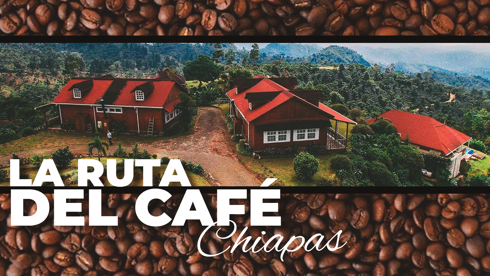 Ruta del Café en Chiapas: ¿Cómo llegar, dónde está y qué hacer?