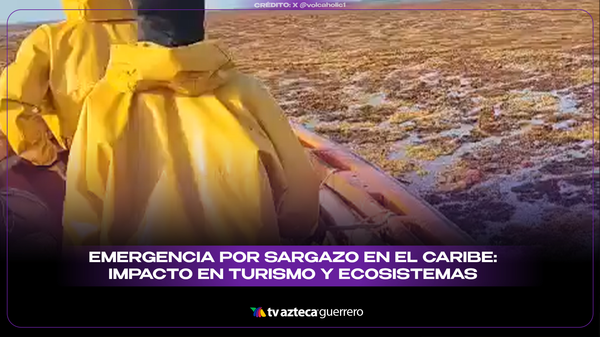 Sargazo en el Caribe: Qué está pasando y cómo afecta al medio ambiente