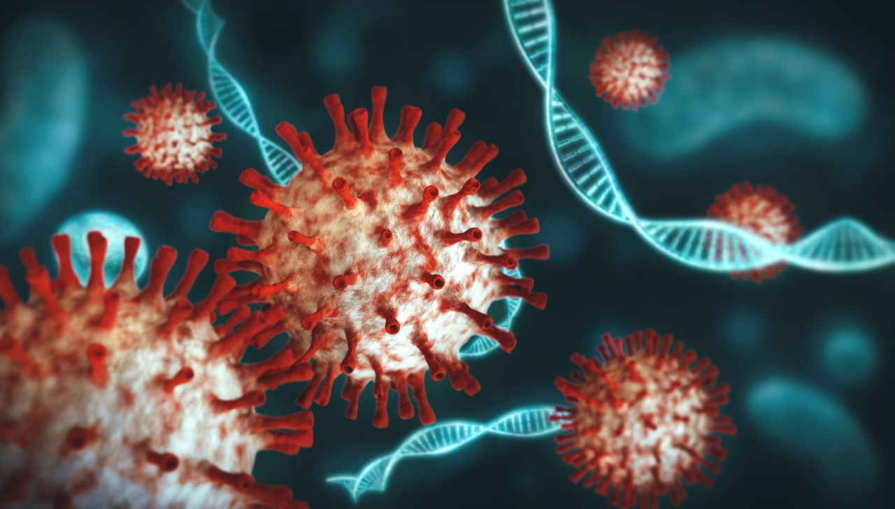 ¿Qué es la peste negra o bubónica y qué tan peligrosa es la enfermedad?