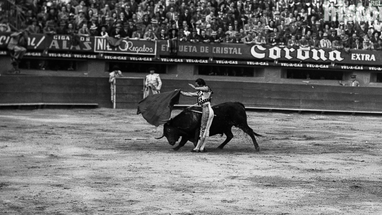 ¿Quién introdujo la tauromaquia en México? Historia de las corridas de ...