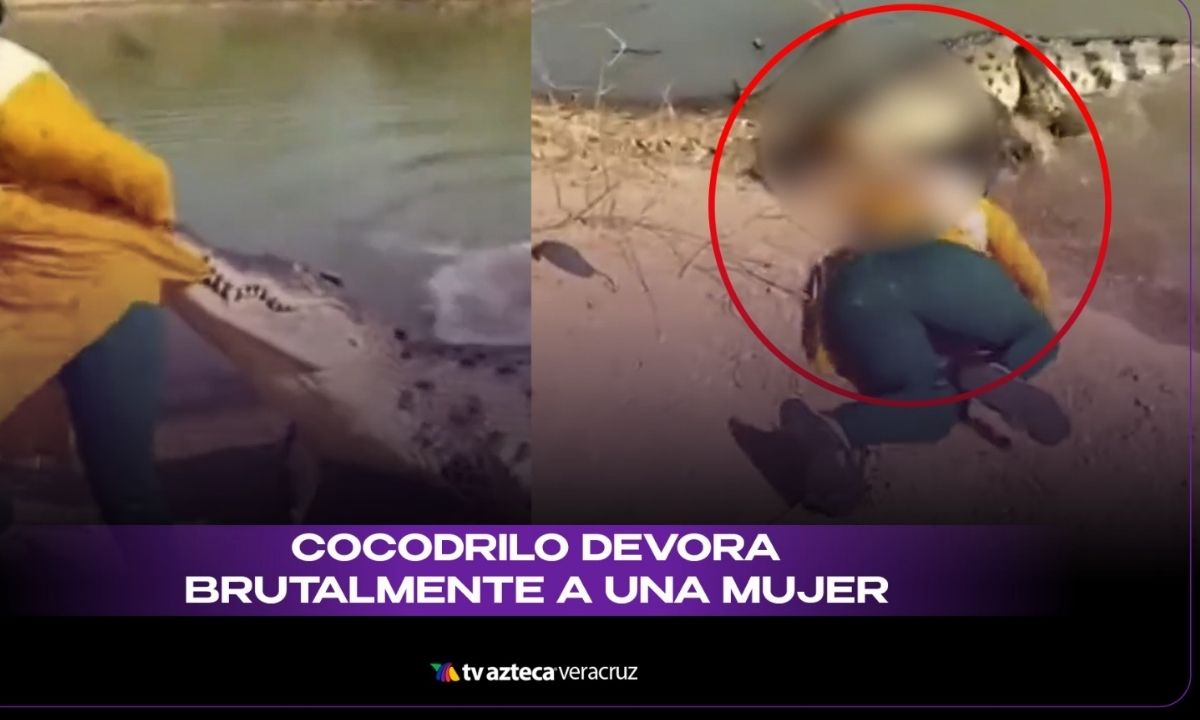 Ataque brutal de cocodrilo a mujer; quedó captado en video