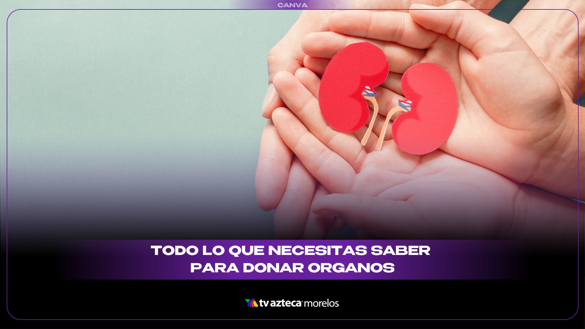 Estos son los órganos que puedes donar en vida y al morir