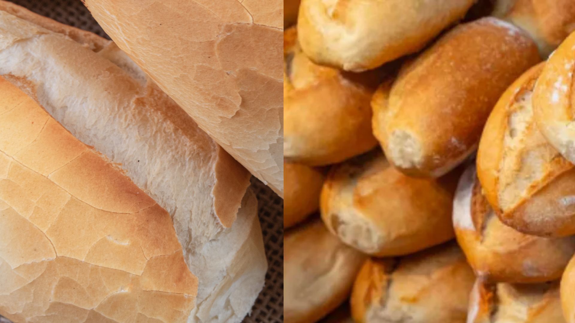 La diferencia del bolillo en Aguascalientes frente al de Ciudad de ...