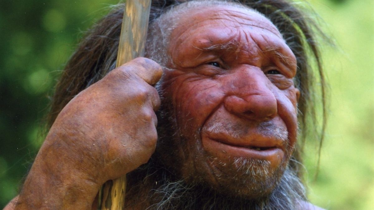 Denisovanos: los parientes perdidos de la humanidad