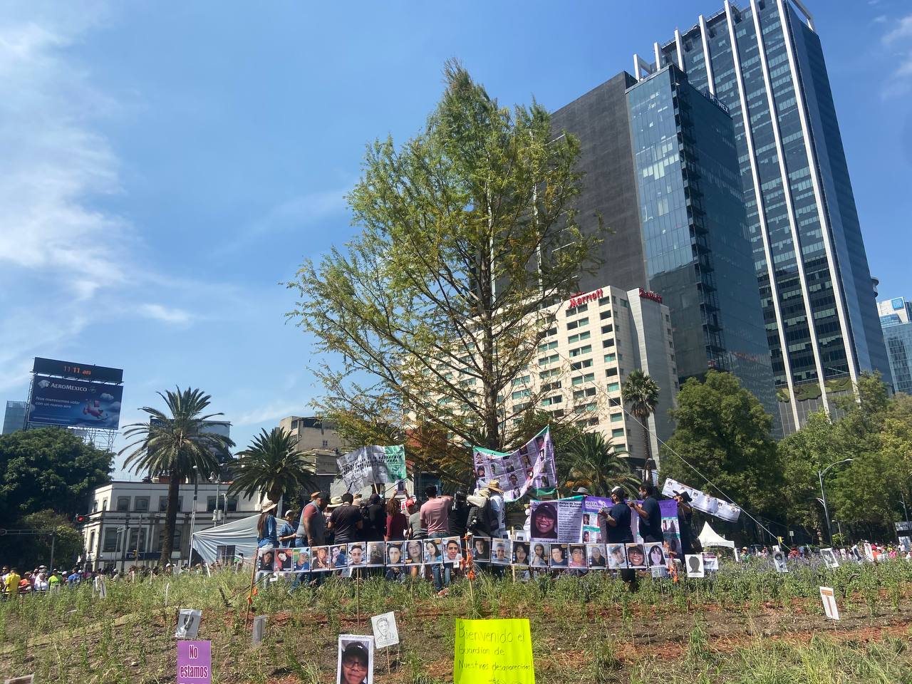 En bienvenida al ahuehuete, Sheinbaum recuerda a desaparecidos