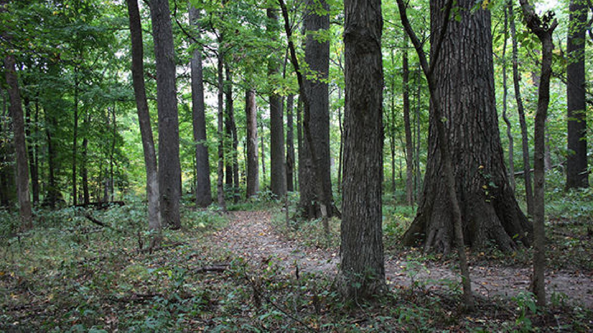 Este pueblo pequeño en la frontera de Illinois es uno de los mejores ...
