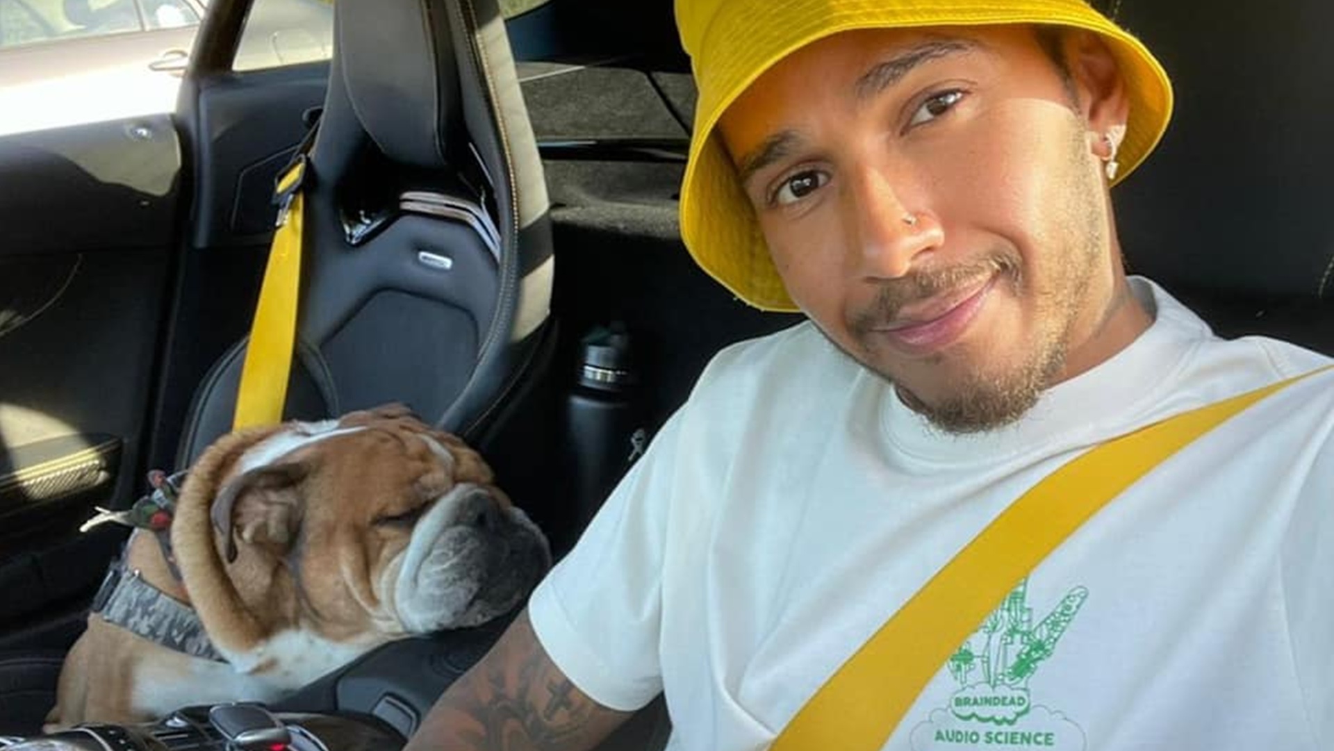 ¿De qué murió Roscoe, el inseparable bulldog de Lewis Hamilton que ...
