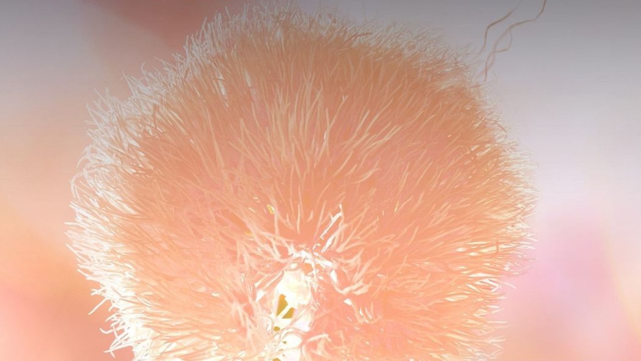 ¿Cómo usar el color del 2024 elegido por Pantone?