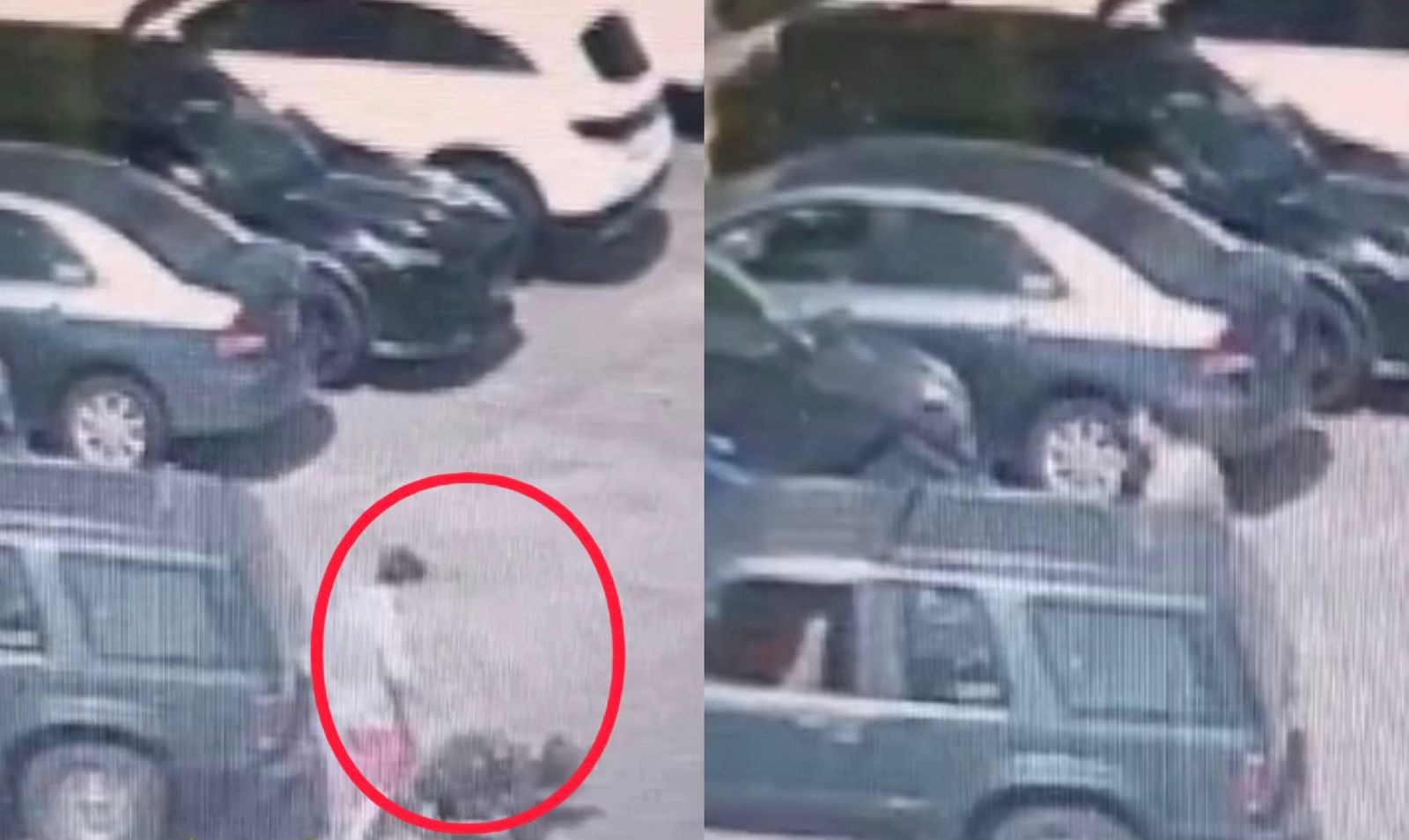 VIDEO: Momento exacto en el que Fofo Márquez golpea a señora de la tercera edad