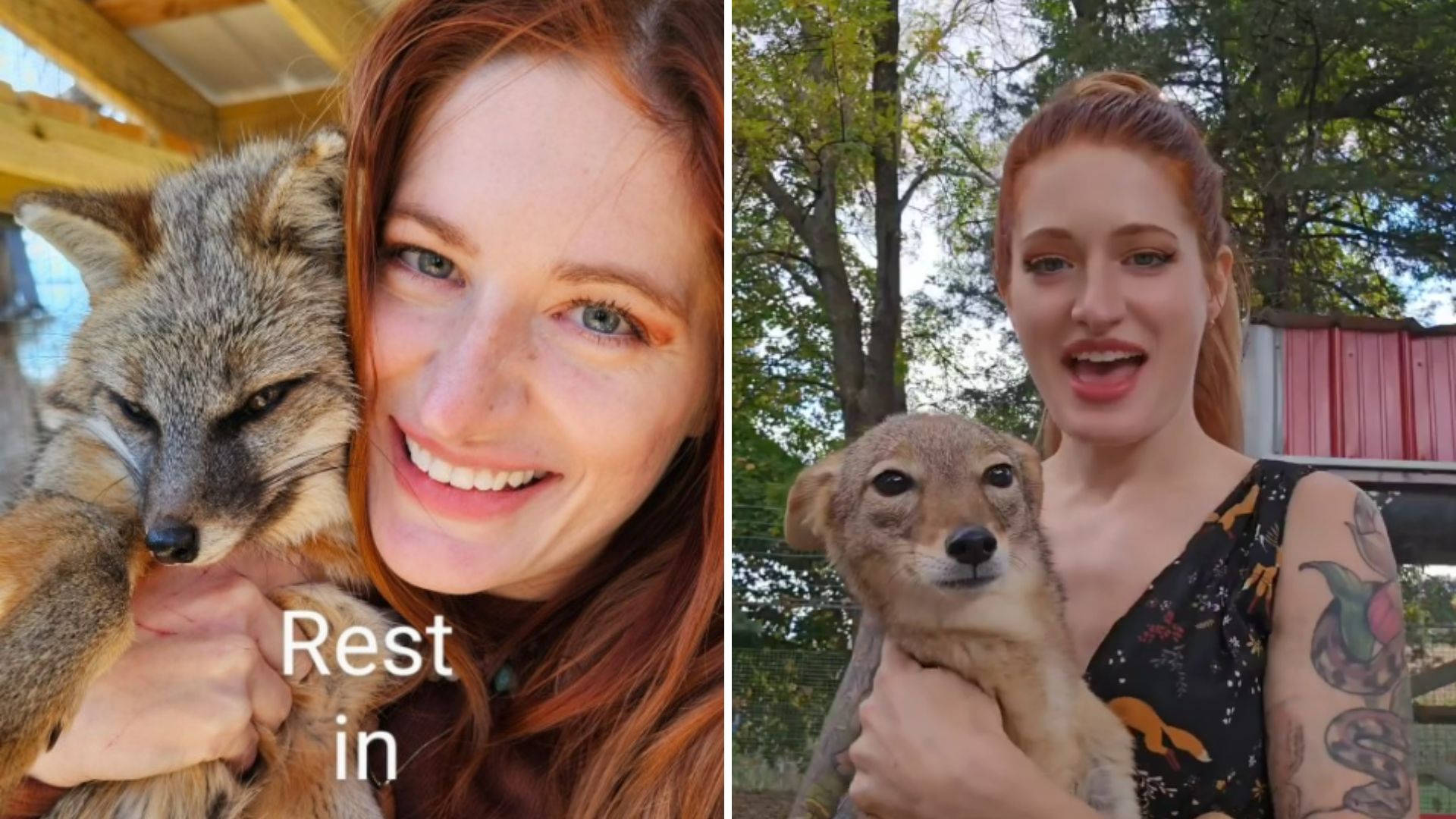 Mikayla Raines de SaveAFox Rescue se quitó la vida, esto dice su esposo