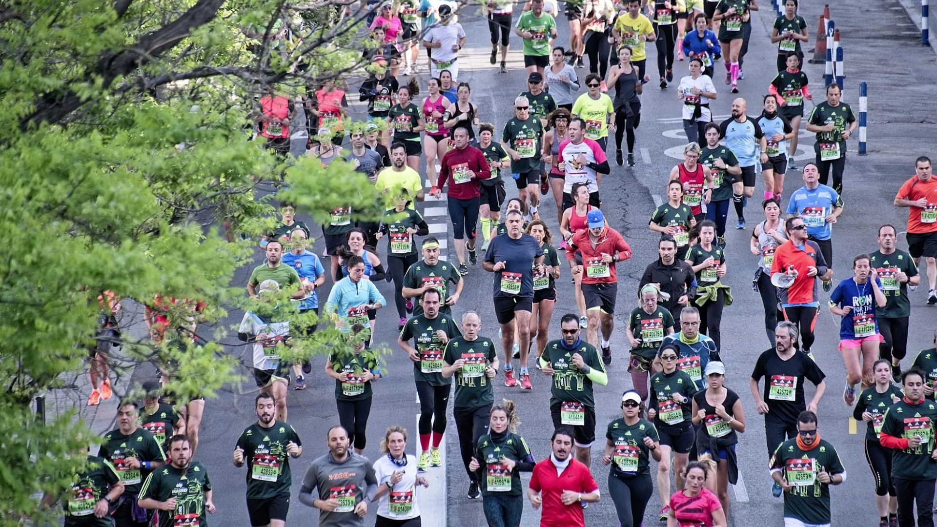 Querétaro Maratón 2024: ¿Cómo prepararse?