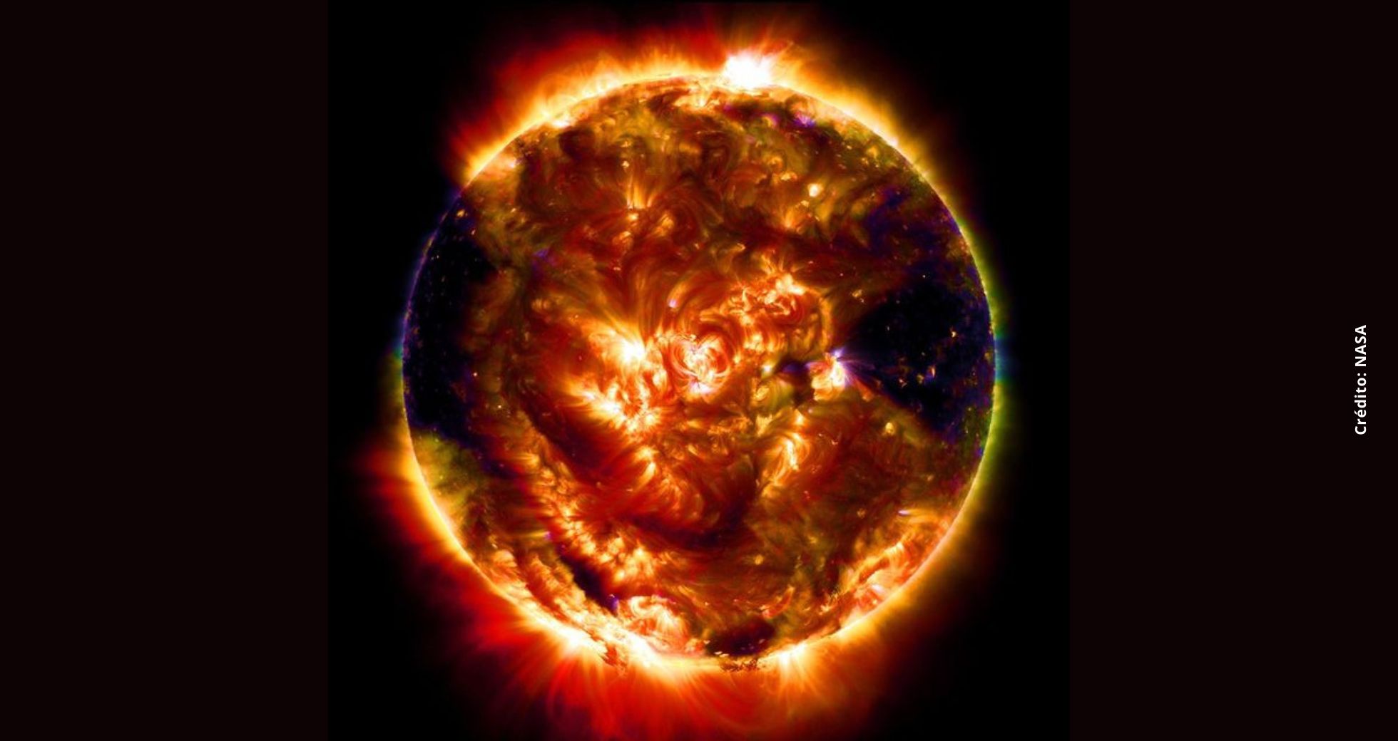 ¿Qué es el Efecto Terminator y cómo afectará a México?