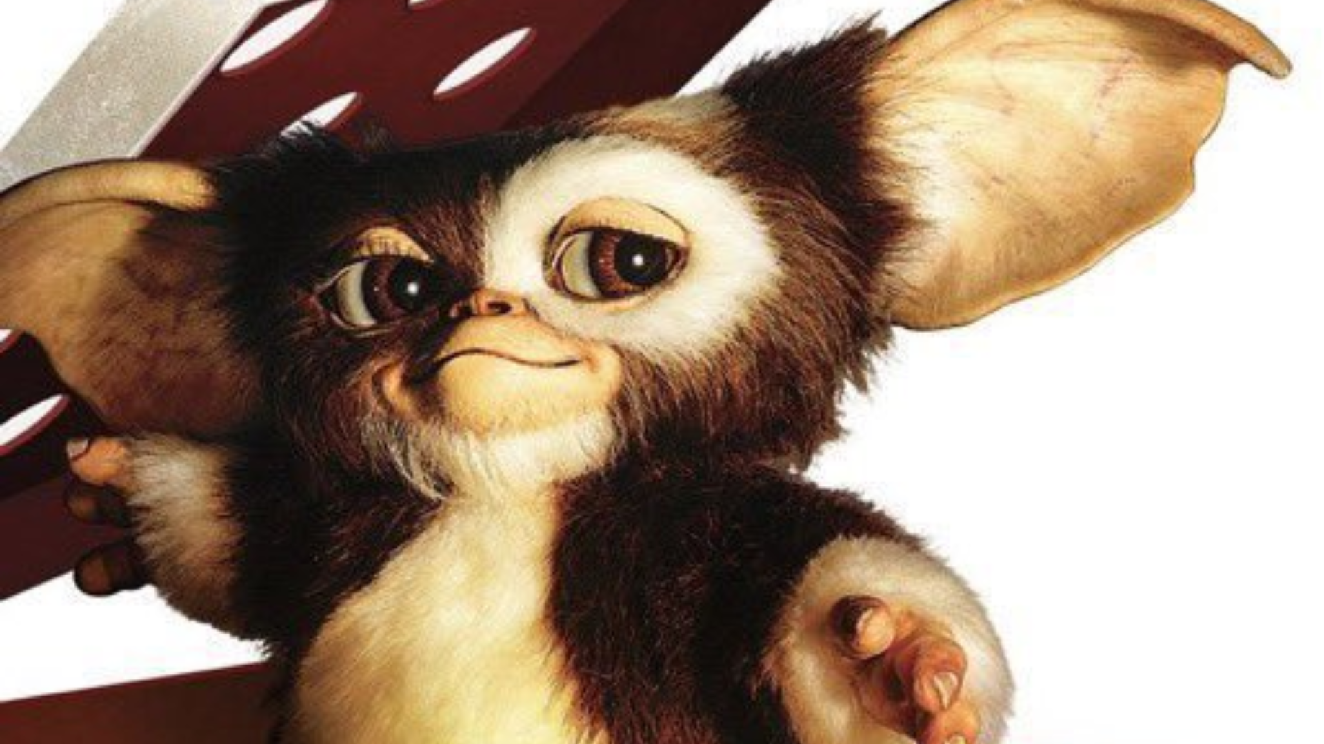 Gremlins 3, se anuncia el regreso de la saga de monstruos de Spielberg