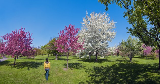 Primavera 2024: ¿Cuándo inicia oficialmente en México?