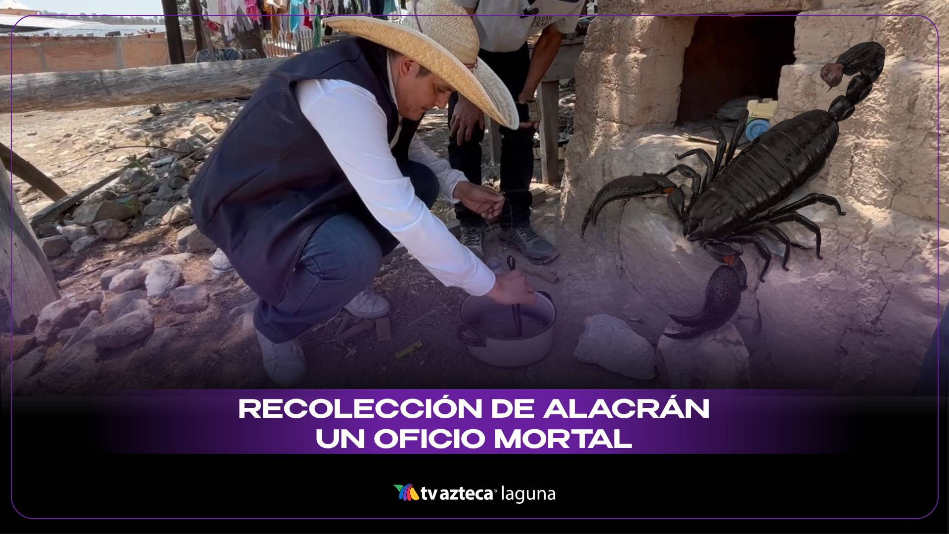 Recolección de alacranes en Durango: un oficio mortal