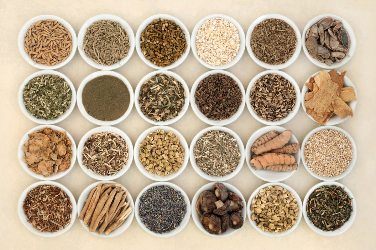 ¿Los adaptógenos son lo de hoy? ¿Por qué? ¿Qué son?