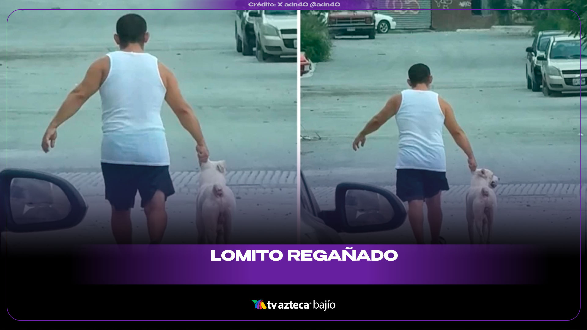 Hombre jala la oreja a su perro y genera debate entre regaño y maltrato