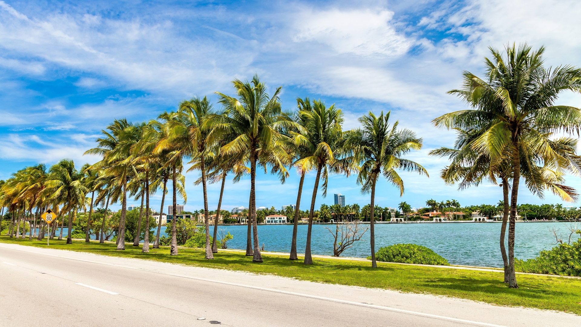 Entre pasto, palmeras y arena, estos son los mejores 5 parques de Miami