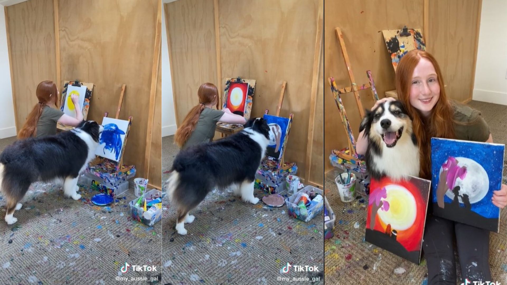 Video: Perrito pintor se vuelve viral al mostrar su talento con el pincel