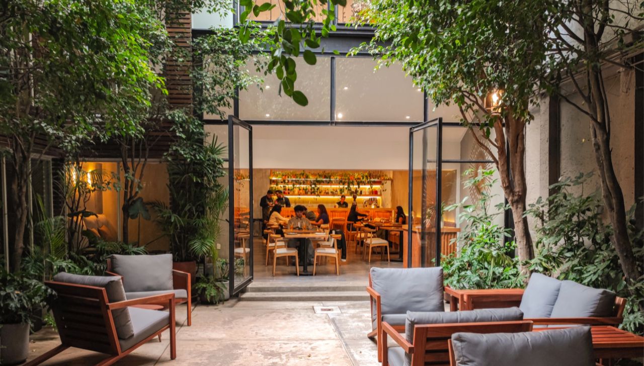 Pánuco 36: ¿Qué hay, dónde esta, horarios, ubicación de este ...