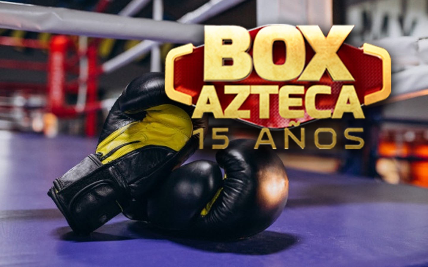 EN VIVO programa especial celebración de 15 años Box Azteca